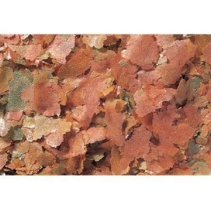 AZOO Marine Fish Flake | 330ml - 45g | Aquariums India