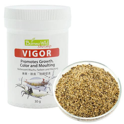 BORNEO WILD Vigor | 30g | Aquariums India