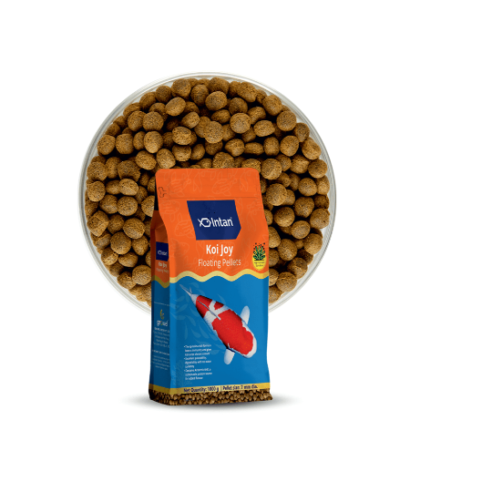 INTAN Koi Joy Pellets | 1000g | Aquariums India