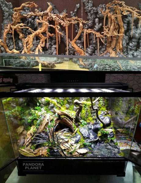 HOUYI Expanding Foam | Aquariums India